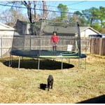 Bounce Pro 14' Trampoline With Safety Enclosure Combo - Walmart.com