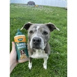 Jinx Kibble Sauce Chicken Bone Broth Dog Meal Topper, 12 fl oz Bottle ...
