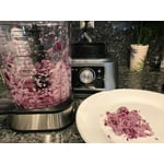 Ninja SS351 Foodi Power 4-in-1 Kitchen Prep Blender and Processor with ...