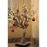 Collections Etc. Frosted LED Lighted Tabletop Tree Branches Decoration ...