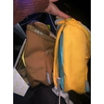 Goldbug Safety Harness Backpack with Removable Tether, Walking Harness ...