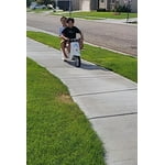 Razor Pocket Mod Euro 24V 250W Electric Motor Scooter, White & Blue (2 ...