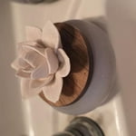 Better Homes & Gardens Wicking Ceramic Diffuser, Frosted Succulent ...