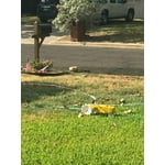 Nelson Rain Train Traveling Sprinkler, Lawn Garden System, Rotating ...