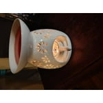 Long Last Bulk Pack Amari White Unscented Indoor/Outdoor Tealight ...