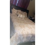 Nanshing Devi 9 Piece Scroll Transitional Comforter Set, Queen, Gold ...