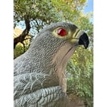 Falcon Decoy Bird Repellent Predator Flashy Reflective Eyes Owl Decoy ...
