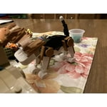 LEGO Creator 3 in 1 Fun Adorable Dogs Toy Set, Build/Rebuild 7 Breeds ...