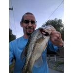 Fenwick Elite Tech Walleye Spinning Fishing Rod - Walmart.com