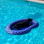SwimWays Spring Float Paddle Paws Dog Pool Float - Large (65 lbs and Up ...