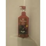 Old Spice Men's Shampoo, Batman DC Comic Collaboration, Black Cherry ...