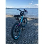 20" Kent Tempest BMX Bicycle, Fits Riders 4'2" - 5', Black/Aqua, Child ...