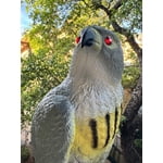 Falcon Decoy Bird Repellent Predator Flashy Reflective Eyes Owl Decoy ...