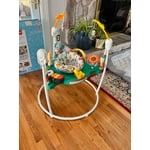 Fisher-Price Infant Bouncer, Whimsical Forest Jumperoo, Standing Play ...