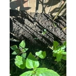 Timberline Cow Manure and Compost, Soil Conditioner, 40lb Bag, Ideal ...