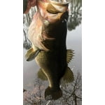 Berkley Juke Fishing Hard Bait - Walmart.com