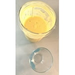 Ninja Nutri-Blender Pro with Auto-iQ, Personal Blender, CL401A ...