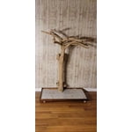 Prevue Pet Products Bird Accessories: Coffeawood Java Tree, Medium Size ...