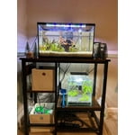 Bestier Fish Tank Stand, 20-37 Gallon Metal Aquarium Stand, Heavy Duty ...