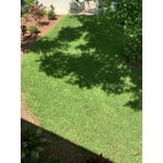 Bayer Advanced Grub Control Insecticide, Complete Soil & Turf Pest ...