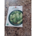 Burpee Cilantro Herb Seeds, Great for Salsa and Curry, Full Sun ...