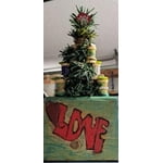 Bright Creations 50 Pack Empty Wooden Thread Spools for DIY Arts and ...