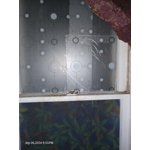 Decorative Privacy Window Film, Removable Glass Window Decals, Door ...