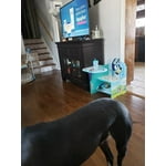 Bluey Chair Desk with Storage Bin by Delta Children - Greenguard Gold ...