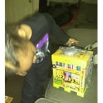 Crate Creatures Surprise! - Blizz - Walmart.com