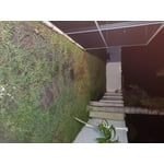 Sevin Ready to Use Insect Control, 1 Gallon, Kills 130+ Insects, for ...