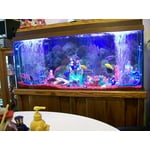 Aqua-Tech Power Fish Tank Aquarium Filter, 3-Step Filtration, 30-60 ...