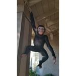 Design Toscano Hanging Jungle Monkey Statue - Walmart.com