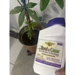 BONIDE Root & Grow 1 Qt Liquid Plant Food Fertilizer 4-10-3 with IBA ...