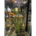 Seachem Tidal 110 Fish & Aquatic Filter - Walmart.com