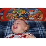 Nick Jr. PAW Patrol Sleep and Play Toddler Bed with Tent and Built-In ...
