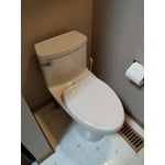 American Standard Compact Cadet 3 FloWise Tall Height 1-Piece 1.28 GPF ...