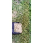 Customer reviews for ZEGJAW Electric Dethatcher and Scarifier, 13 in ...