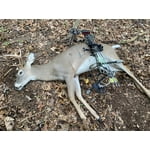 Trophy Ridge React® V5™ Sight - Walmart.com