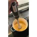 Ninja Immersion Blender and Whisk, Hand Stick Blender, 3 Speeds, with ...