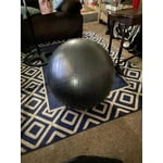 SPRI Weighted Stability Exercise Ball, 55cm, Blue - Walmart.com