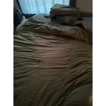 SPRINDAY 3 Piece Full Size Microfiber Comforter Set, Sage Green Bedding ...