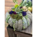 Proflora Preserved Green Moss Mix Collection, 150 CU in - Floral ...