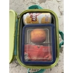 Firefly! Outdoor Gear Youth Insulated Lunch Box - Blue/Green - Walmart.com