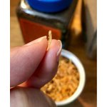 Wardley Turtle Delight Reptile Food, 1.4 oz - Walmart.com