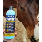 Vetericyn Liniment 16 oz, Blue for Sore Muscles and Joints Relief in ...