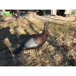 Flextone, Thunder Chick Decoy, Upright Hen - Walmart.com