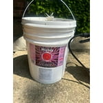 NPK Industries Mighty Mite Control (1 qrt) - Walmart.com