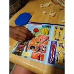 Thames & Kosmos Ooze Labs: Visible Human Body Model with Squishable ...