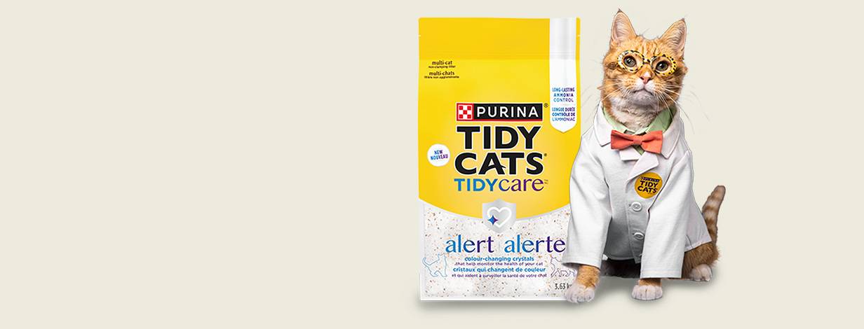 Tidy Alert | Walmart Canada