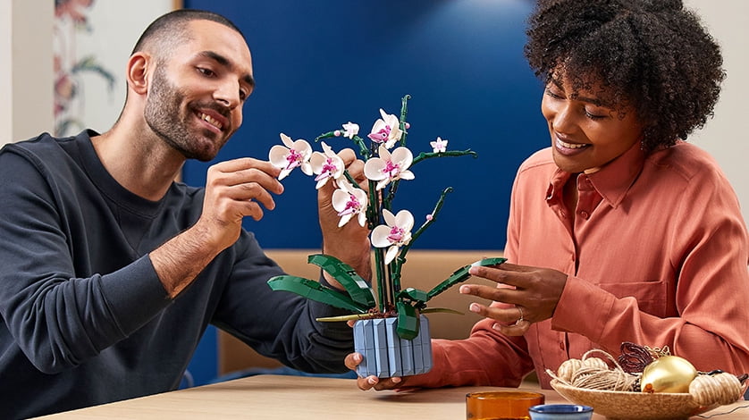 LEGO for adults | Walmart Canada